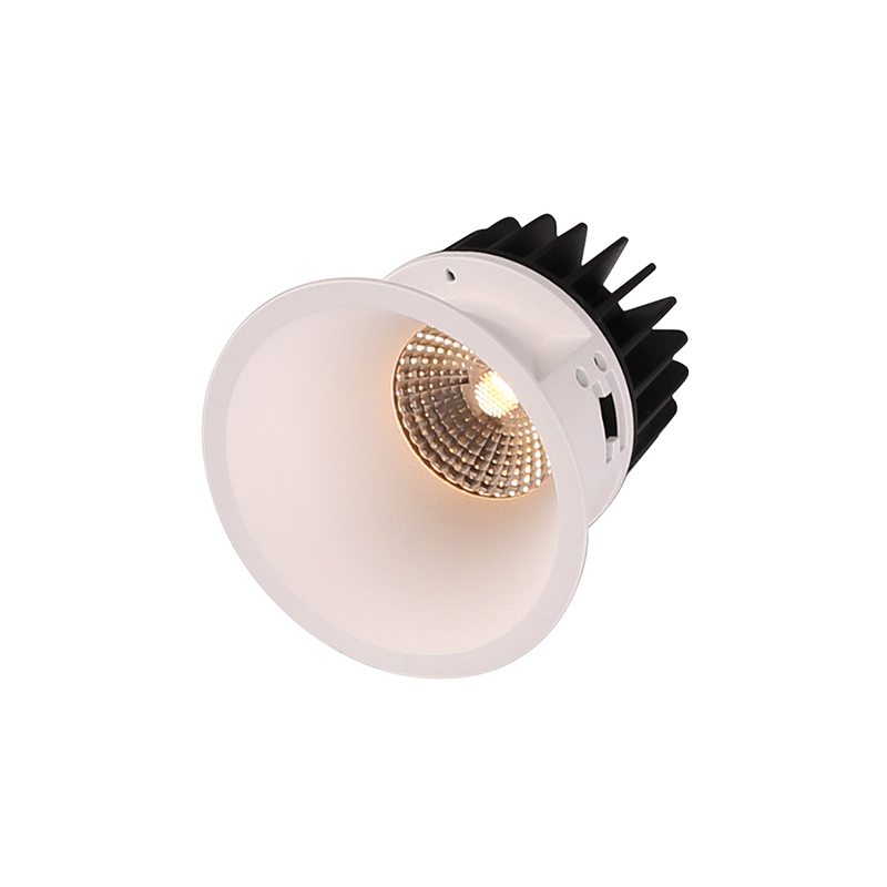 Fixed led ceiling downlight,dupont powder coating,10w 500mA,IP54