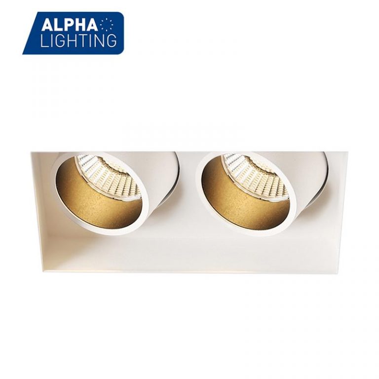 Double-head Adjustable downlight ALPHA LIGHTING COMMERCIAL LIGHT