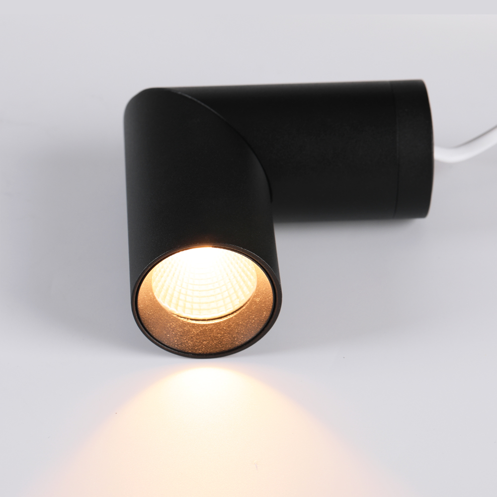 Adjustable 10W Ceiling Surface mounted spotlight