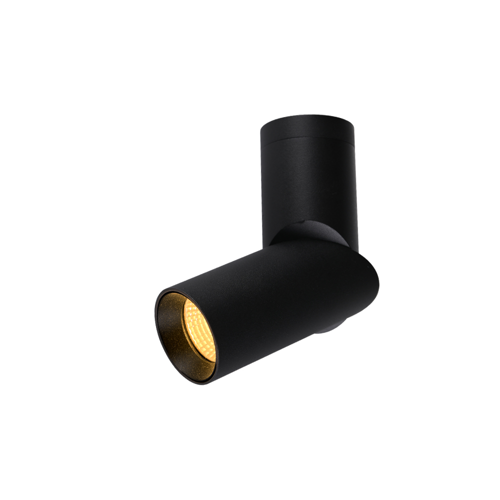 Adjustable 10W Ceiling Surface mounted spotlight