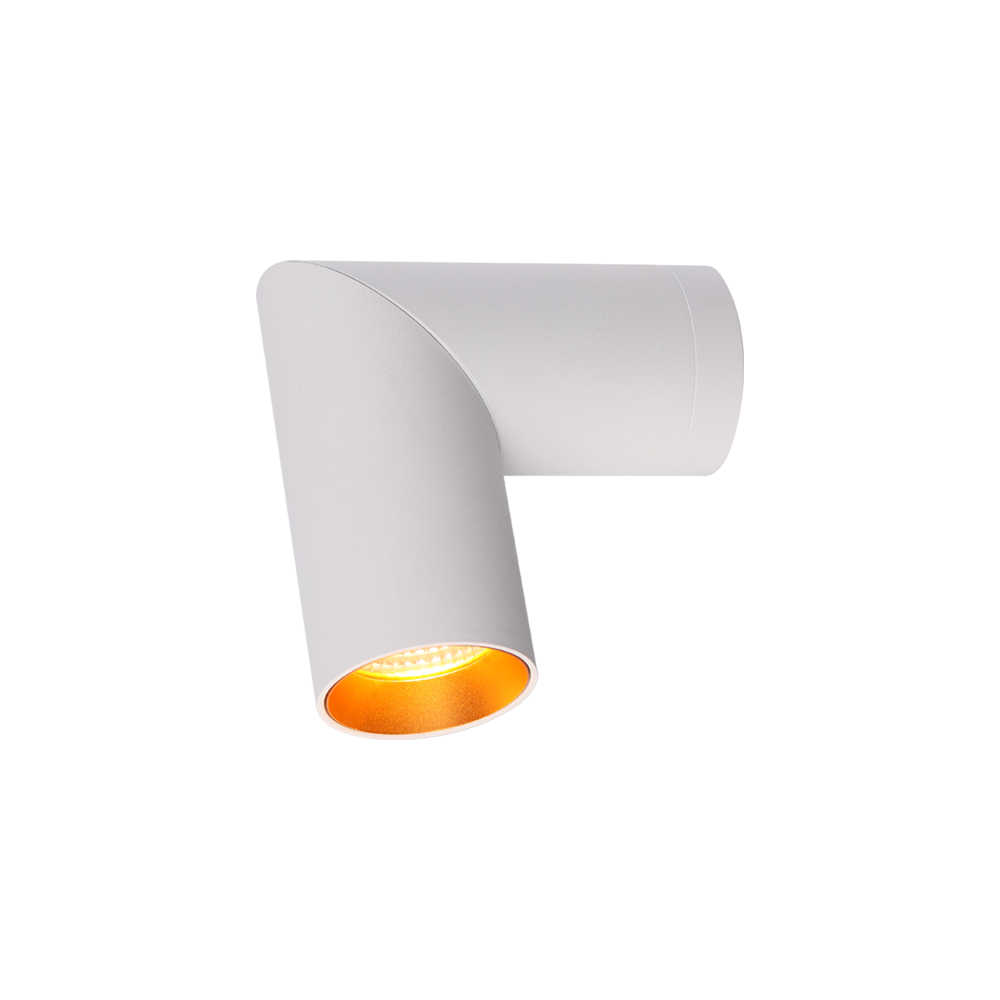 Adjustable 10W Ceiling Surface mounted spotlight