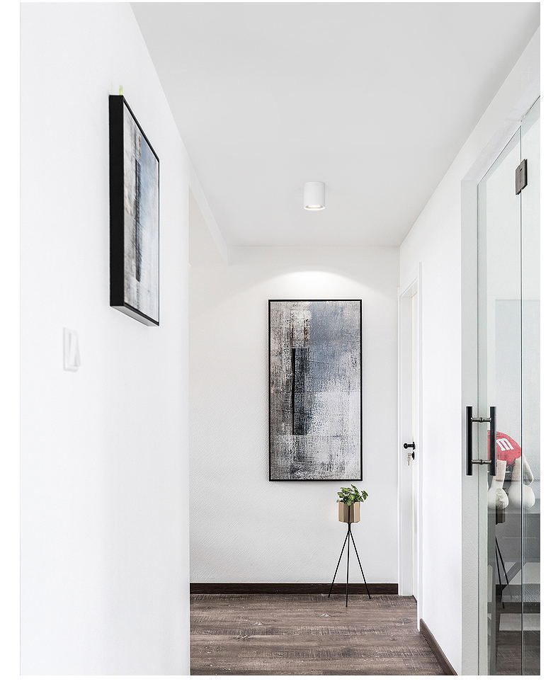 Ceiling Surface mounted Led spotlight | ALPHA LIGHTING