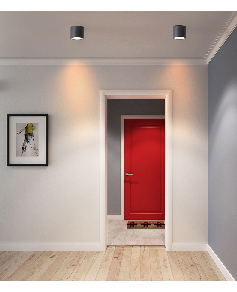 Ceiling Surface mounted Led spotlight | ALPHA LIGHTING