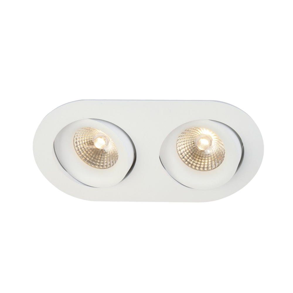 Double head Commercial Adjustable Downlight _ALPHA LIGHTING