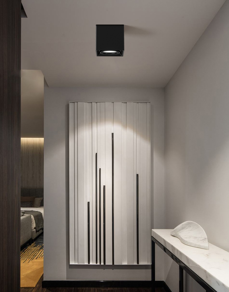 2021 New stylish Rotatable IP20 Surface LED 8W Ceiling Light