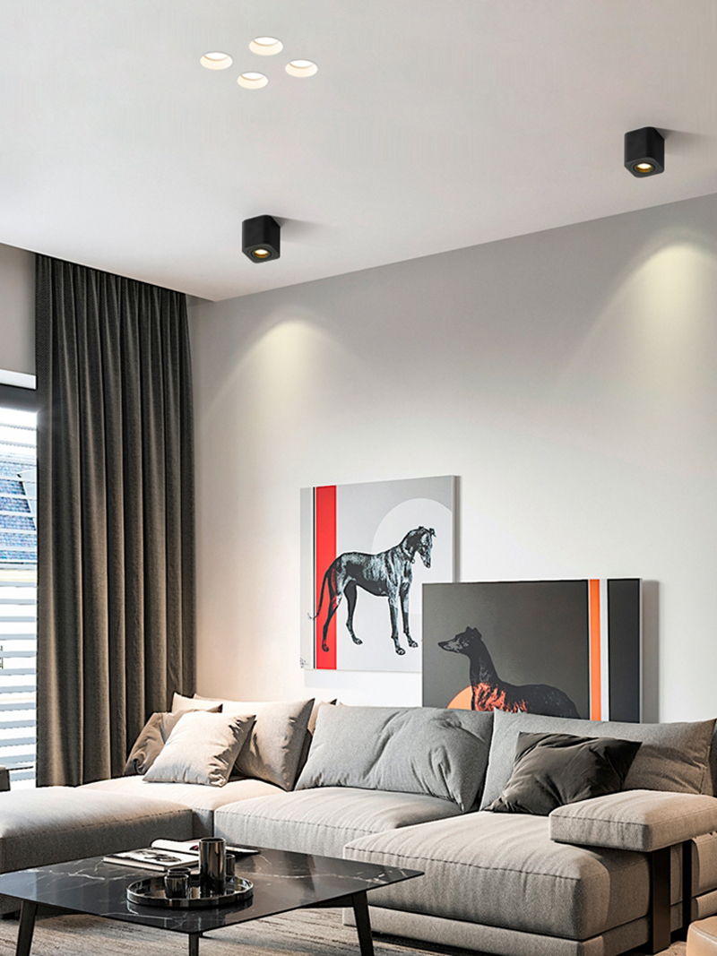 2021 New stylish Rotatable IP20 Surface LED 8W Ceiling Light