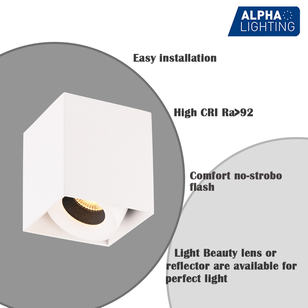 2021 New stylish Rotatable IP20 Surface LED 8W Ceiling Light