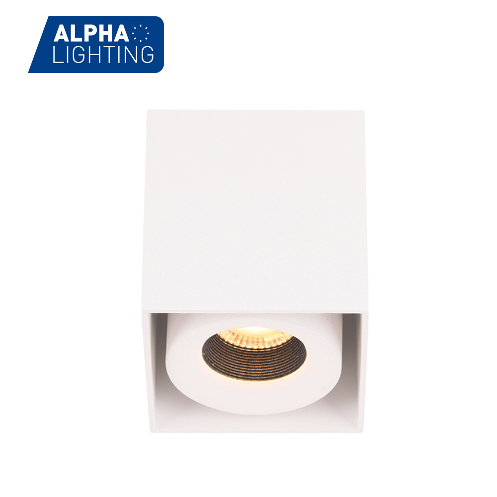 2021 New stylish Rotatable IP20 Surface LED 8W Ceiling Light