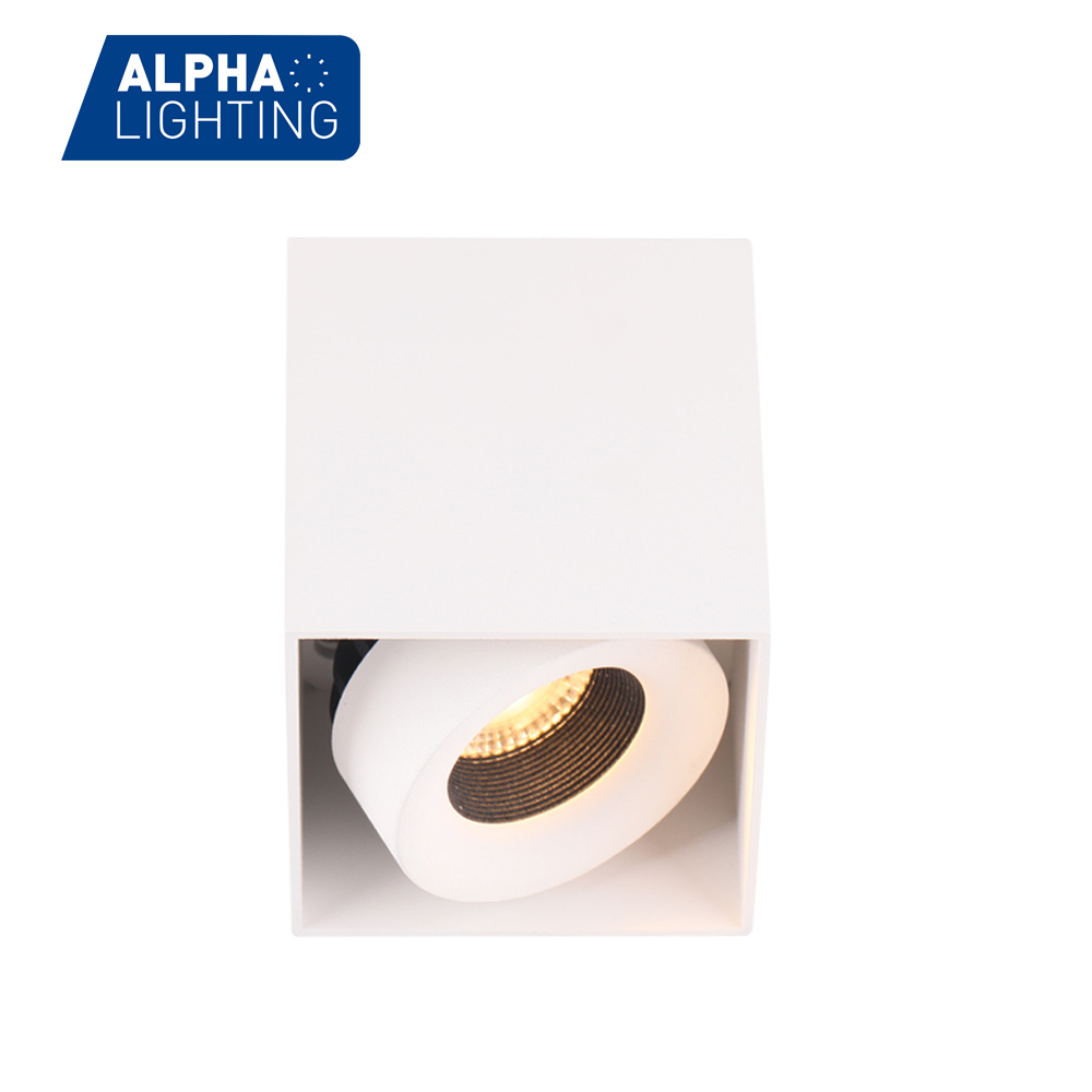 2021 New stylish Rotatable IP20 Surface LED 8W Ceiling Light