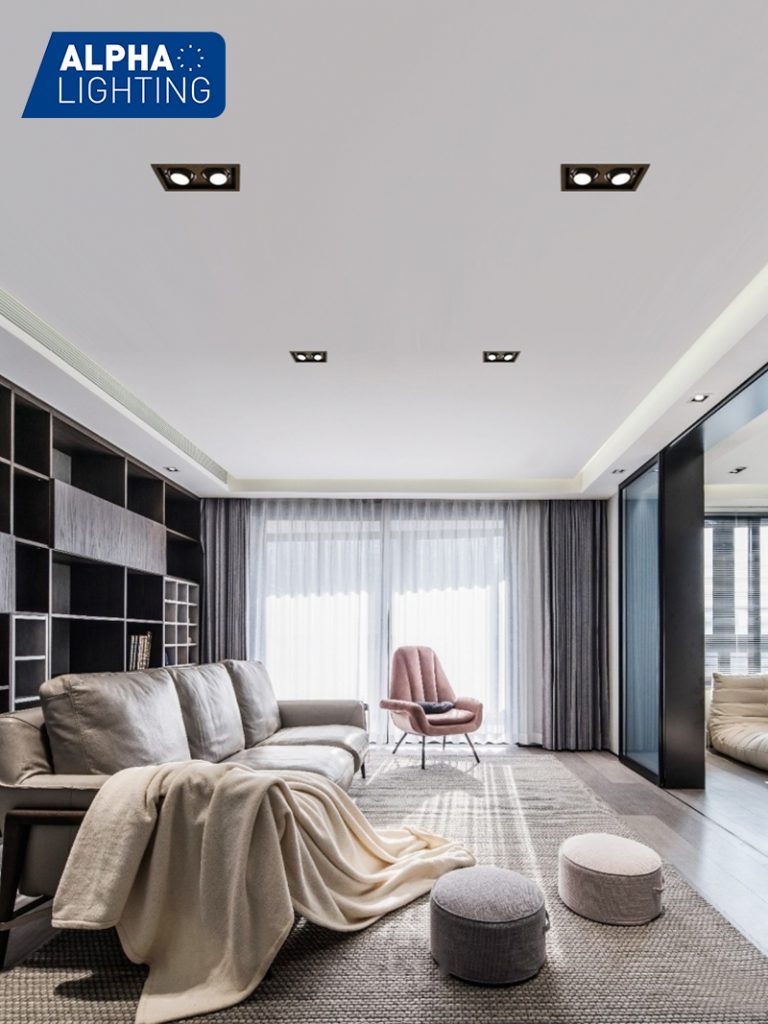 Double-head anti-glare LED embedded adjustable-angle downlight